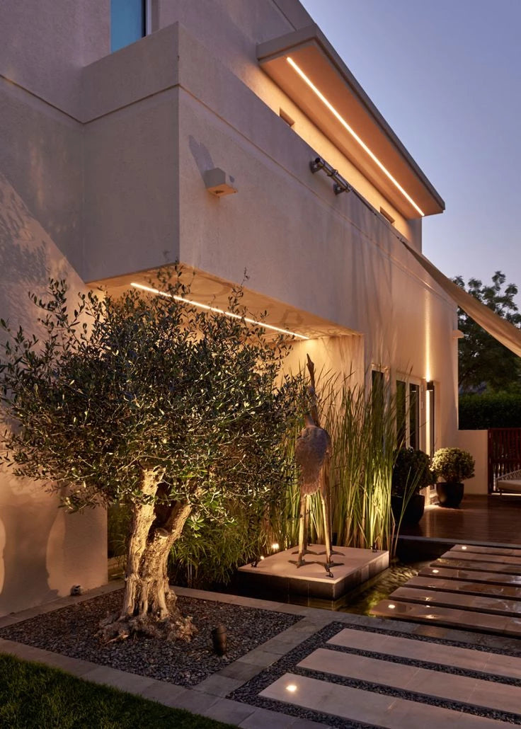 Neon flex plus – NEON BIT MEXICO